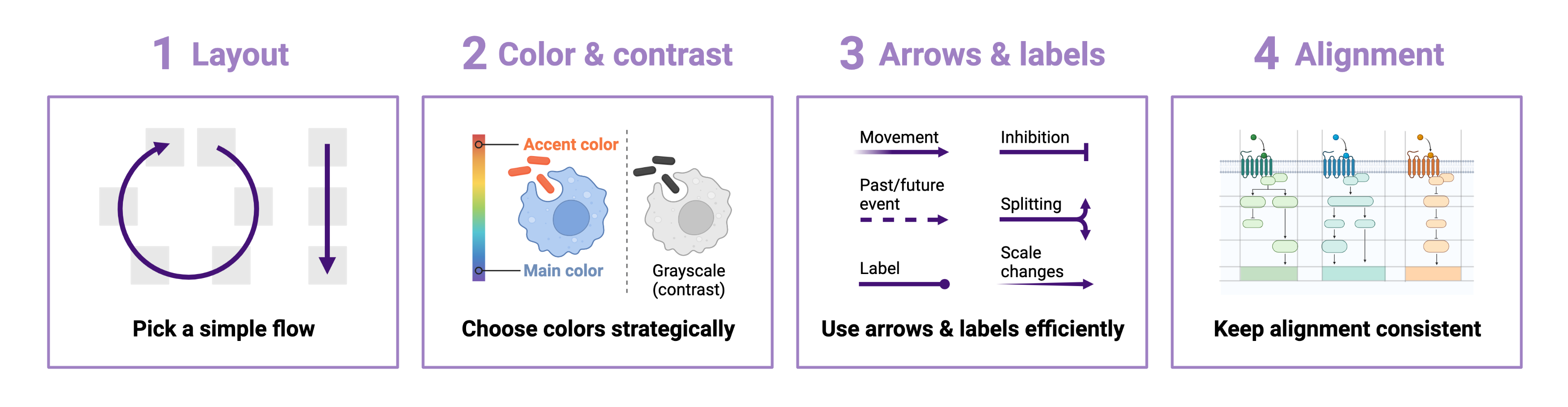 Top 4 Tips For Designing A Graphical Abstract BioRender Blog